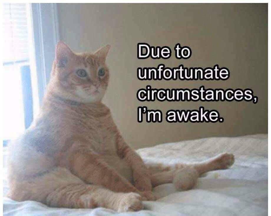 Kaput Dump (#4) – Memes aus dem Zwischenspeicher | Kaput Mag