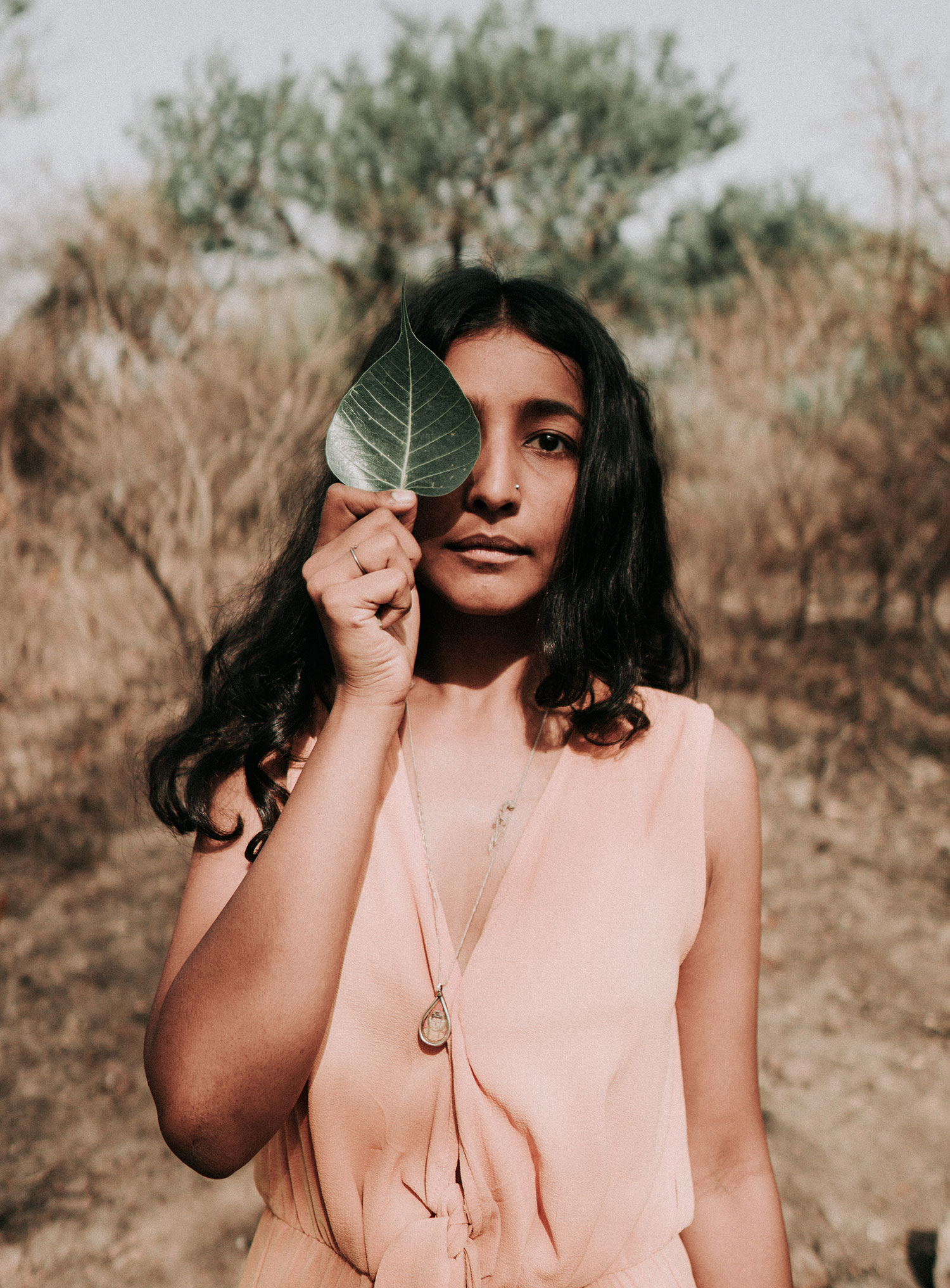 Ditty: Make Forests Not War | Kaput Mag